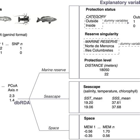 Statistical Framework Developed To Disentangle The Influence Of