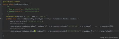 spring boot整合canal 源码巴士
