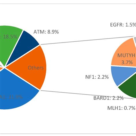 Mutation Frequency In Germline Positive Patients With Hereditary Breast Download Scientific