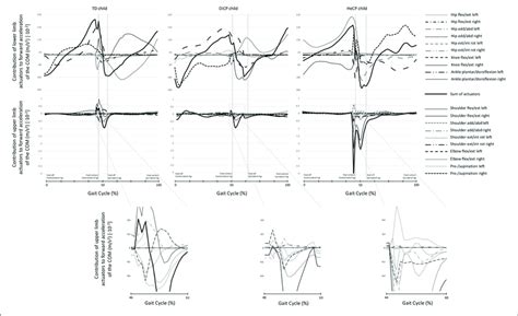 Examples Of Individual Data Of The Induced Acceleration Analysis