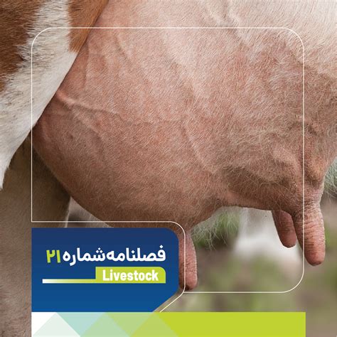 ارتباط بین مواد معدنی مورد استفاده در جیره غذایی و ورم پستان در گاوهای شیری سپاهان نوتریشن