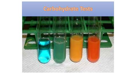 Ppt Carbohydrate Tests Powerpoint Presentation Free Download Id