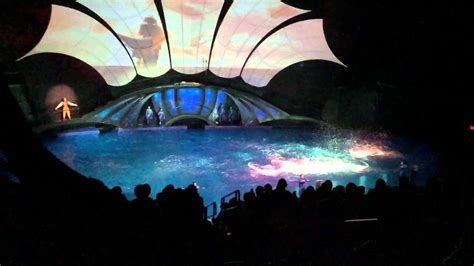 Atlanta Georgia Aquarium Dolphin Show Video 3 Youtube