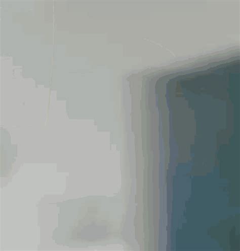 Stefan Meme  Stefan Meme Descobrir E Compartilhar S