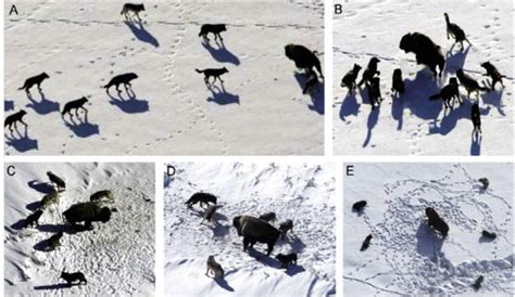 Dynamic Economic Load Dispatch Of Hydrothermal System IntechOpen