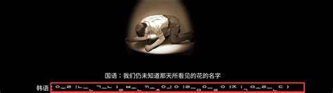 48013korean Display Exception Generalwindows Emby Community
