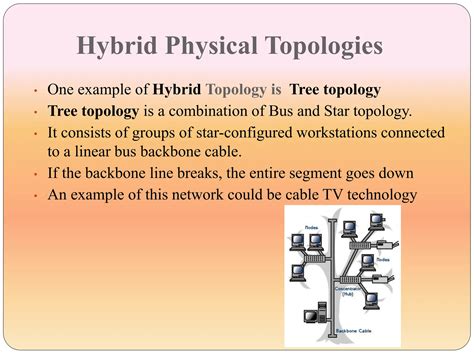 Computer Network Topology By Team Community Connectors Dept Of Sociology Ppt Computer
