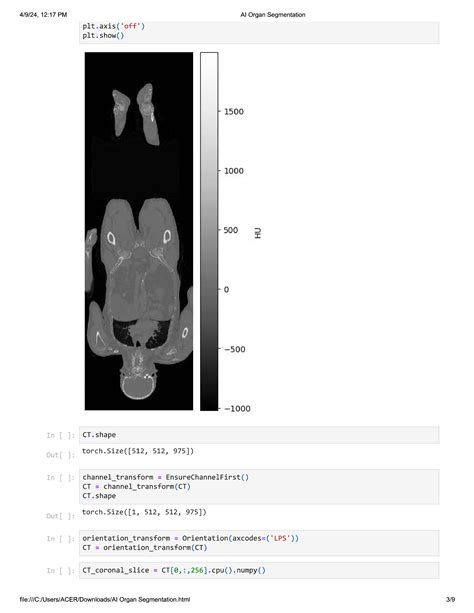Ai Wholebody Organ Segmentation Devpost