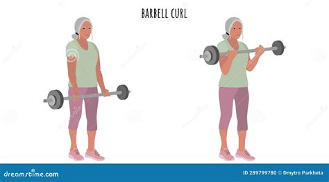 Senior Woman Doing Barbell Curl Exercise Stock Vector Illustration Of