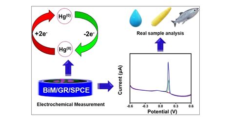 Bismuth Molybdate Graphene Nanocomposite For Electrochemical Detection Of Mercury Acs Applied