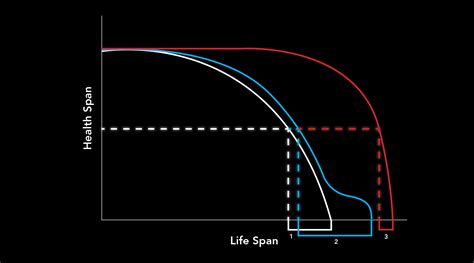 Understanding Longevity How Your Decisions Today Impact Your Health T