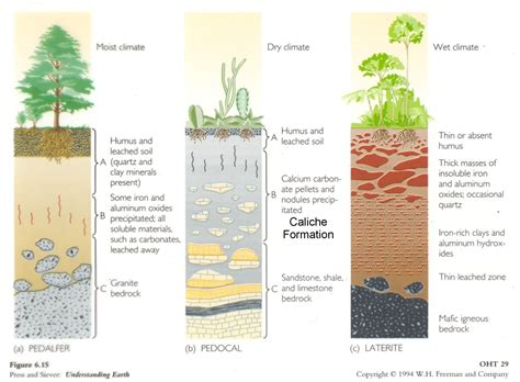Types Of Soil Chart