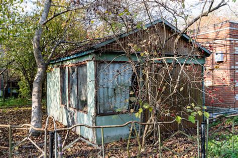 나무와 덤불 사이에 러시아 마을에서 파란색과 녹색의 금속 판의 오래된 집 숲에 대한 스톡 사진 및 기타 이미지 숲 오두막 0명 Istock