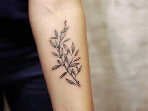 Olive Branch Tattoo Meaning Symbolism Explained Designs