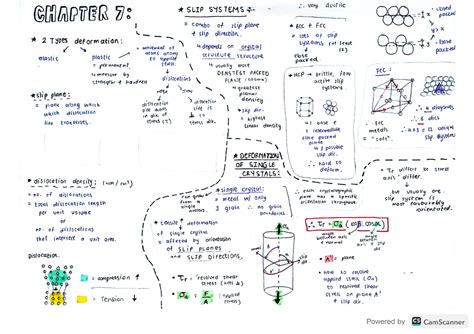 NMC Chapter 7 Notes BPZ220 Studocu