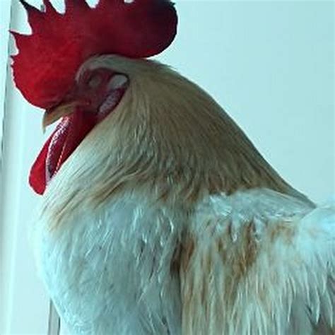 교사박미소 Youtube