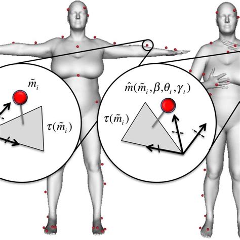 Marker Transformations In The Latent Coordinate Space Left We Download Scientific Diagram