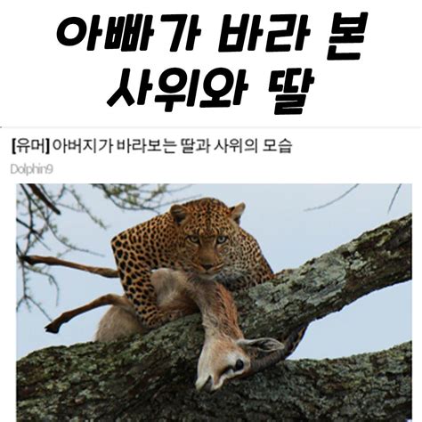 웃긴거 좋아하는 곰돌이 이거 너 아님ㅋㅋㅋㅋㅋ 편의점 만취 맥주 유머 웃긴짤 유머짤 Instagram