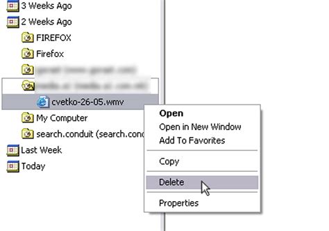 How To Selectively Delete Items From Internet Explorer Steps