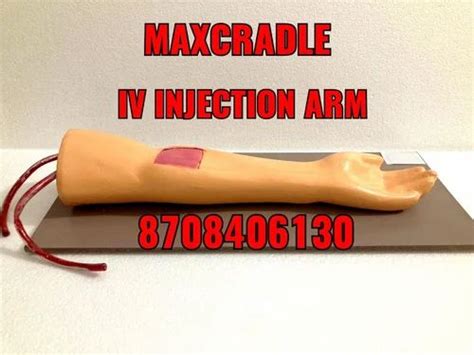 Iv Injection Arm At Rs 2000 Nursing Manikins In Ambala Id 2849497391297 Iv Injection Arm At Rs 2000 Nursing Manikins In Ambala Id 2849497391297