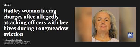 Rorie Susan Hivemaster And Supreme Marshal Of Bee Forces Rbossfight