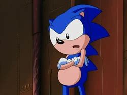 Fat Sonic Fandom