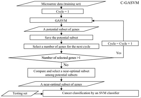 the general procedure of c gasvm download scientific diagram