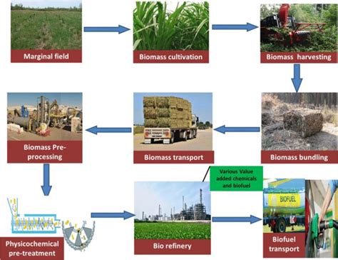 Biomass Supply Chain Management At Best Price In Mansa Eton Biomass