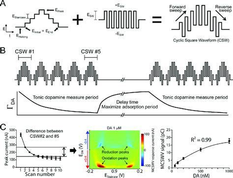 Multiple Cyclic Square Wave Voltammetry A Schematic Design Of Square Download Scientific