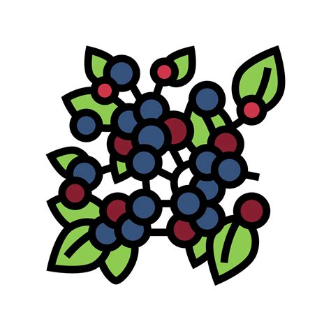 Huckleberry Plant Branch Color Icon Vector Illustration 10223606 Vector
