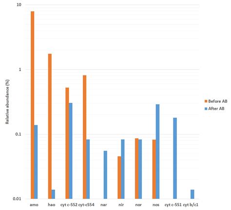 Frontiers Linking The Effect Of Antibiotics On Partial Nitritation Biofilters Performance
