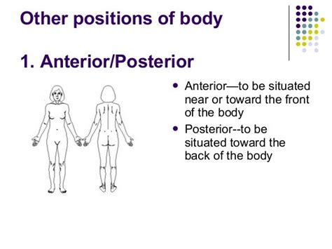 Anatomical Position Ppt 1