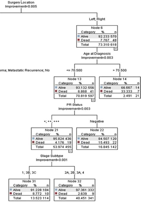 Part Of The 5 Years Survival Rate Predication Model Tree Download Scientific Diagram