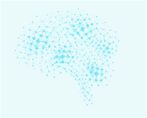 Introduction Repository To Show My Work From Brainhack