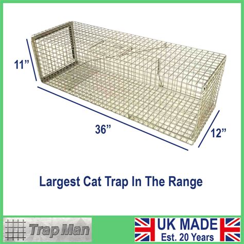 The Trap Man Feral Cat Trap Is Triggered By The Cat Standing On A