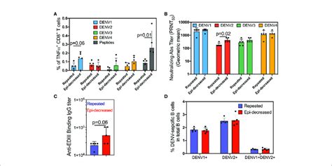 The Denv Specific Cellular And Humoral Immune Responses A Download Scientific Diagram