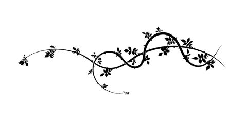 Element On White Background Wild Rose With Thorns 27894947 Vector Art
