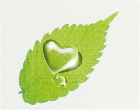 유토이미지 풀잎 072