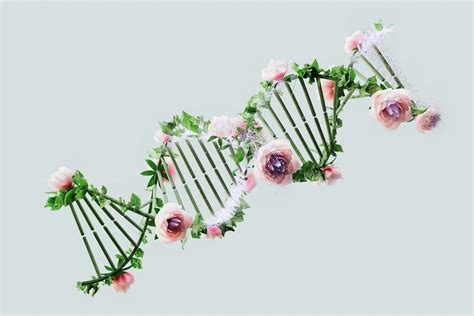 Personalized Genomics Adaptive Inference Lab