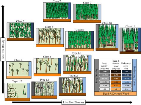 Illustrations Of Structural Classes And Selected Structural Types In Download Scientific
