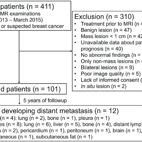 flowchart of patient selection and exclusion download scientific diagram