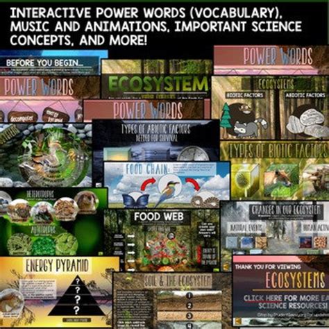 Ecosystems Powerpoint Google Classroom Ecosystem Activities Interactive Etsy
