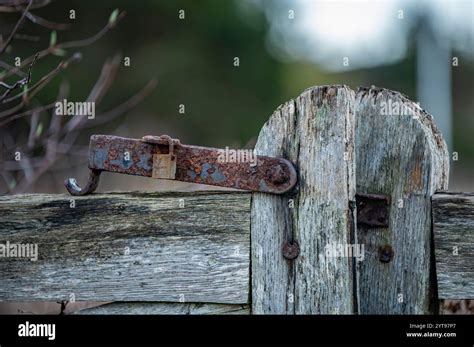 Old Rusty Gate Latch On A Wooden Gate Stock Photo Alamy