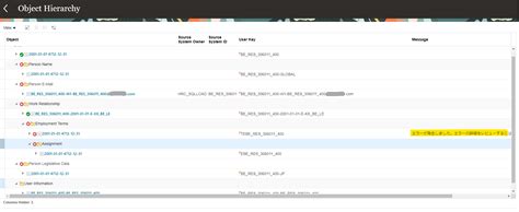 Hdl Issuean Error Occurred To Review Details Of The Error Run The Hcm