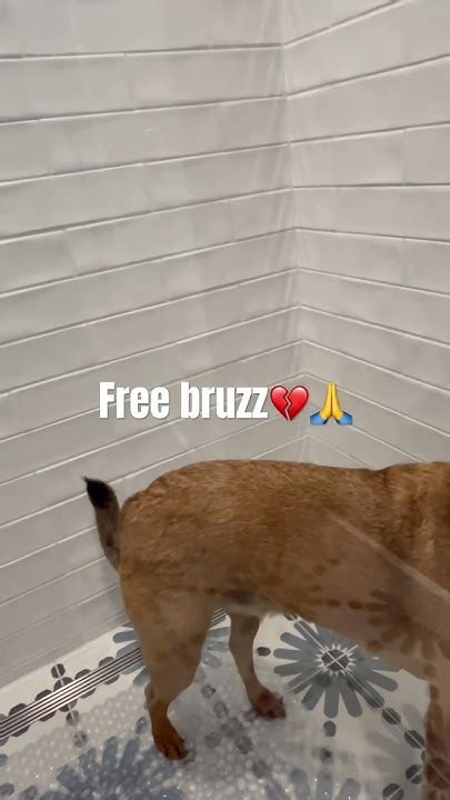 February 3 2025 Youtube