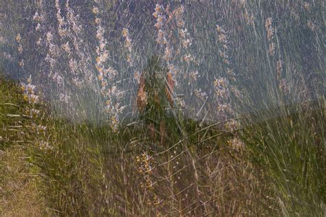 자연 겔러리 꽃밭속의 여인