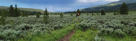 Two Ocean Pass Loop Wyoming Alltrails