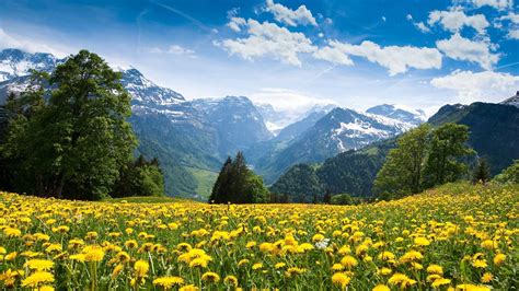 4k Resolution Nature Wallpaper Wallpapersafari