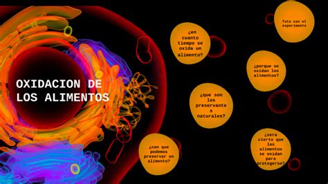 Oxidacion De Los Alimentos By Noelia Hernandez On Prezi