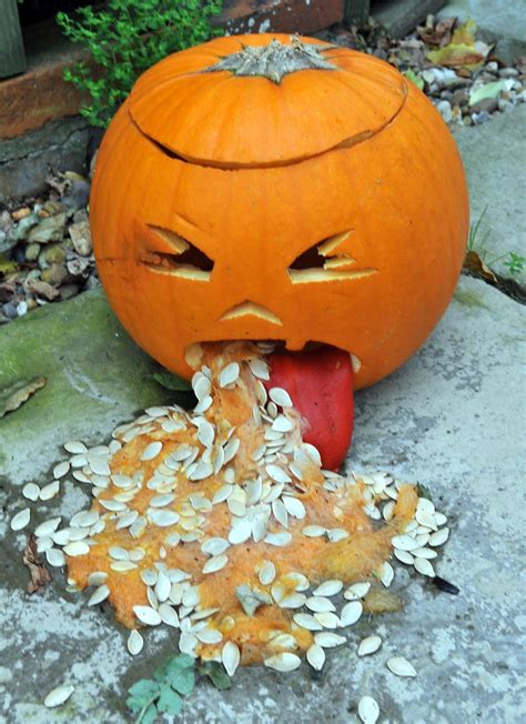The Most Impressive Pumpkins From The Around The County To Inspire Your